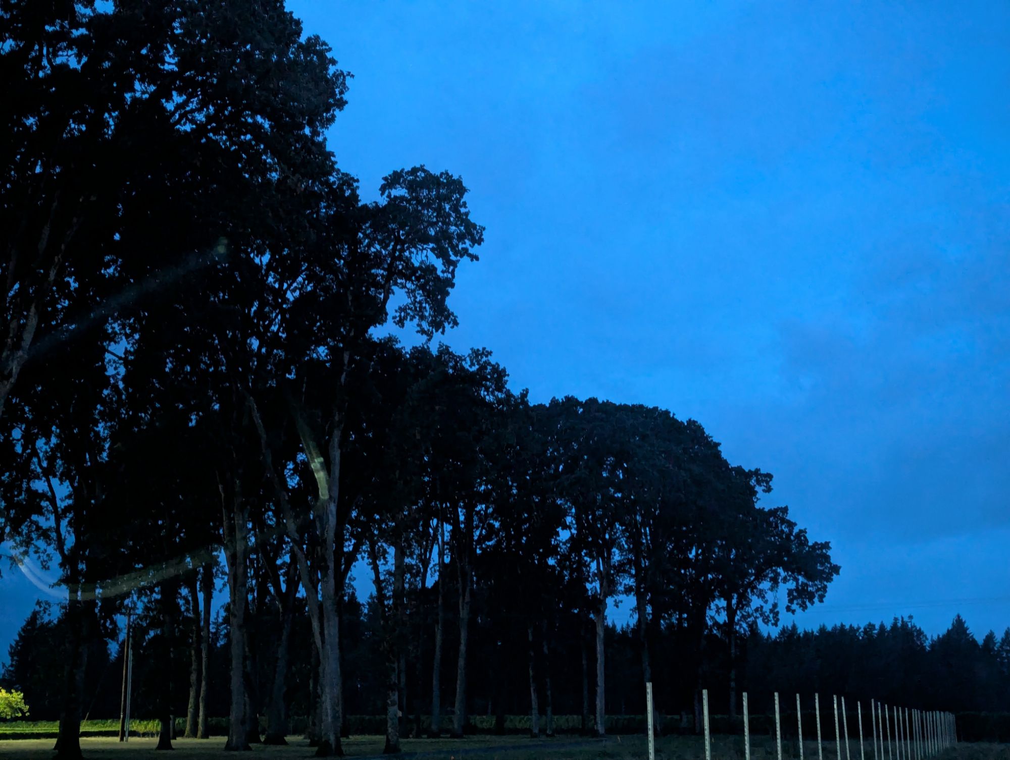 Strange, Vile, Cruel | Evening Light
